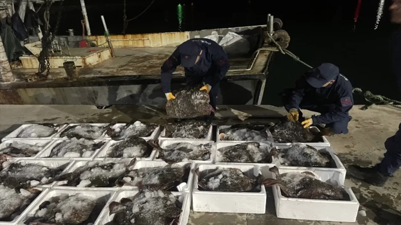 Sinop’ta kaçak avcılığa geçit yok! 625 kalkan balığı vatandaşa ...